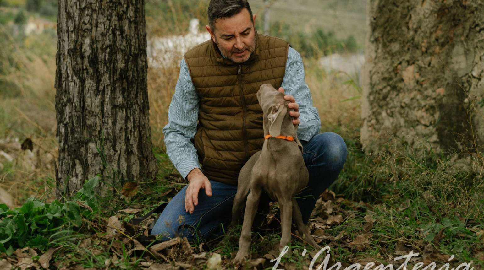 Mejores razas de perro para el campo - L'Argenteria